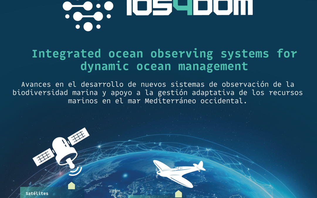 Infographic - Spatial Marine Lab